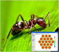 ANTS - Simulation and reconstruction package