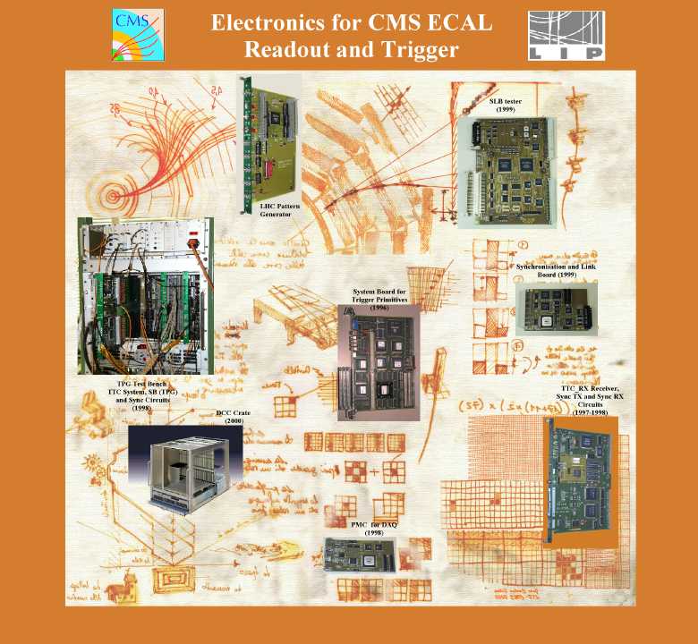 Portuguese Group in CMS